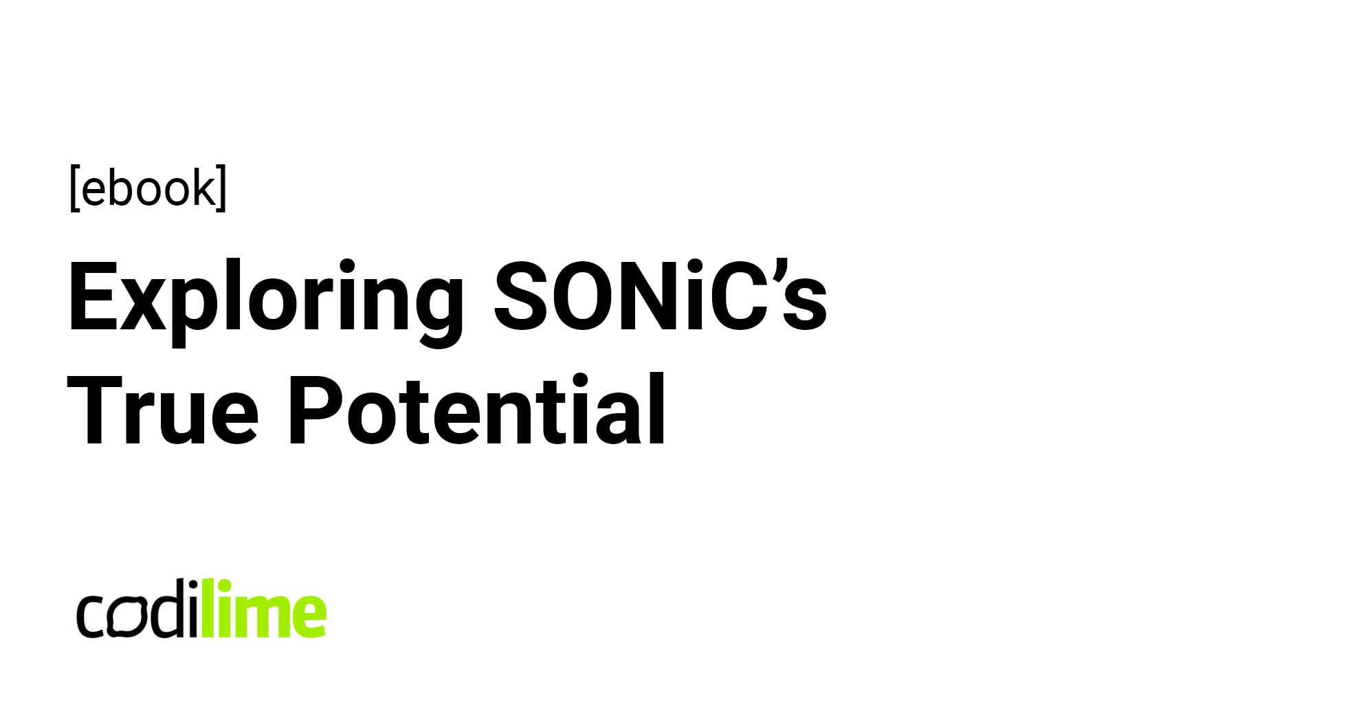 Ebook | SONiC – Building a Custom Functionality